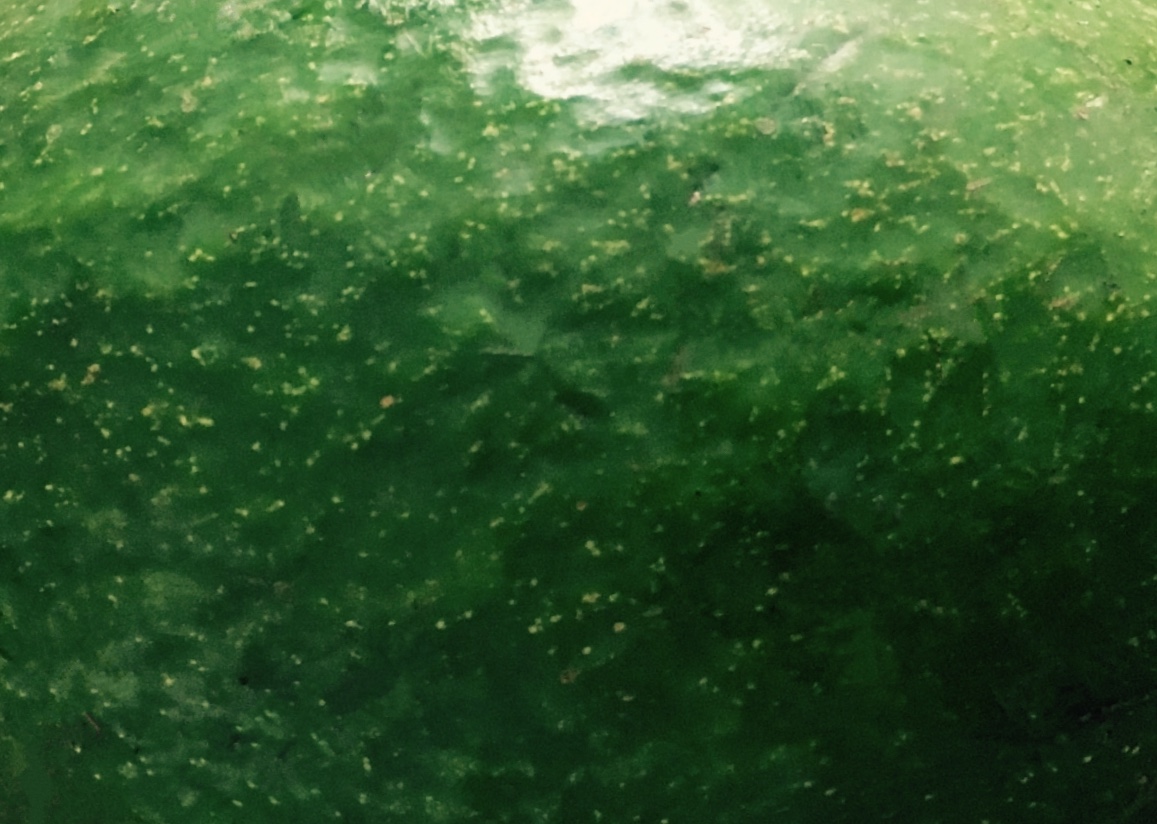 Avocado aka Pear – by Jaimarie